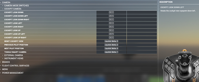 Guide – How to configure Cockpit Views / Cameras using Custom Camera controller assignments ...