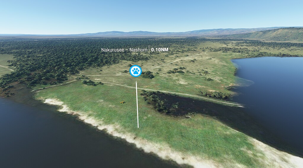 Rhinos - Scenery and Airports - Microsoft Flight Simulator Forums