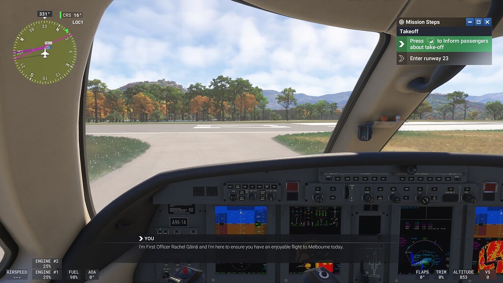Captain using Co-Pilot dialogue during VIP Charters - ATC, Traffic ...