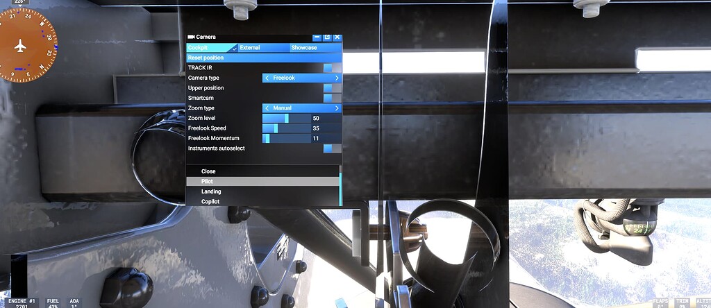 "Pilot" view in cockpit mode loads in ceiling - Aircraft & Systems ...