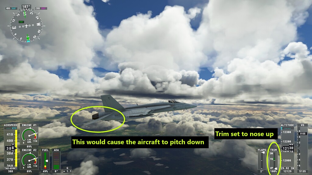 F18 - Trim is visually inverted - Page 2 - Aircraft & Systems ...