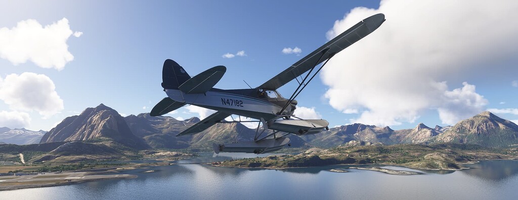 Release Wombii X Cub Modern Liveries 1 3rd Party Product 7353