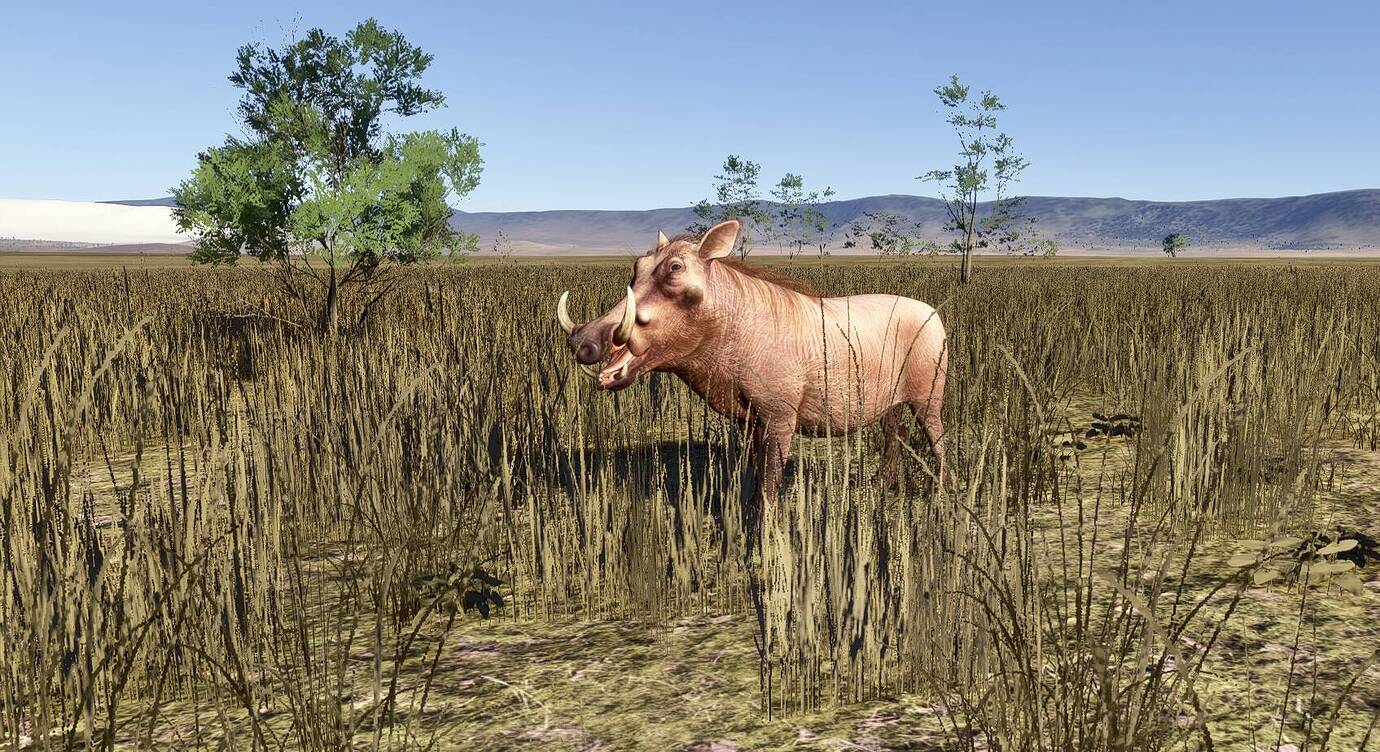 How to find animals and where are photos stored? - User Interface ...