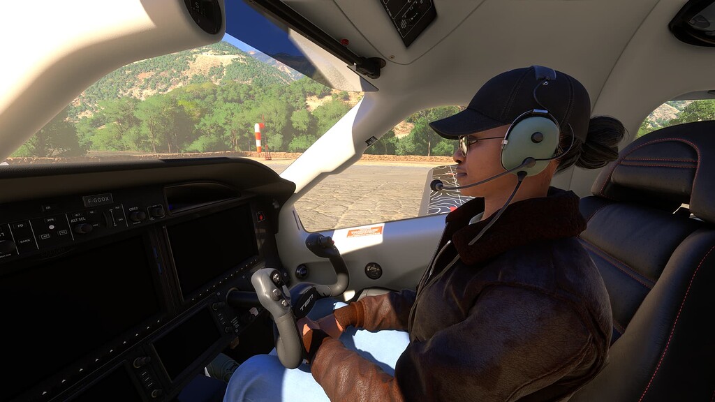 AVATARS when switching seat pilot/copilot - Miscellaneous - Microsoft ...