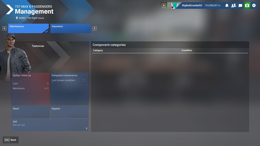 737s problems in SU2 after returning from latest SU3 beta - User ...