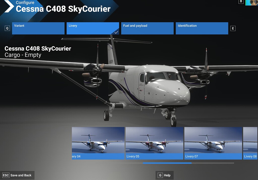 C408 missing Livery #06 for Cargo Empty and Loaded variants - Resolved - Microsoft Flight ...