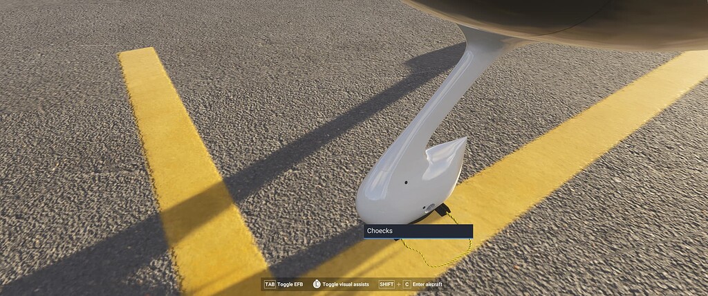 Choecks typo on Joby S4 chocks label - Aircraft & Systems - Microsoft ...