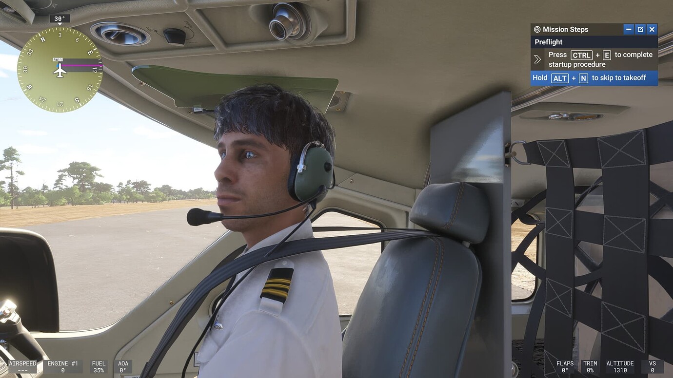 Career Mode - Co-pilot gender appearance does not match gender voice ...