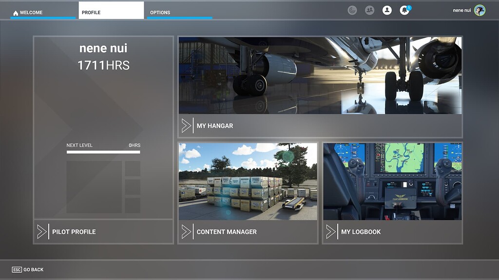 SU15 … Are Pilot Profiles now "ending" above 1700 hours ...