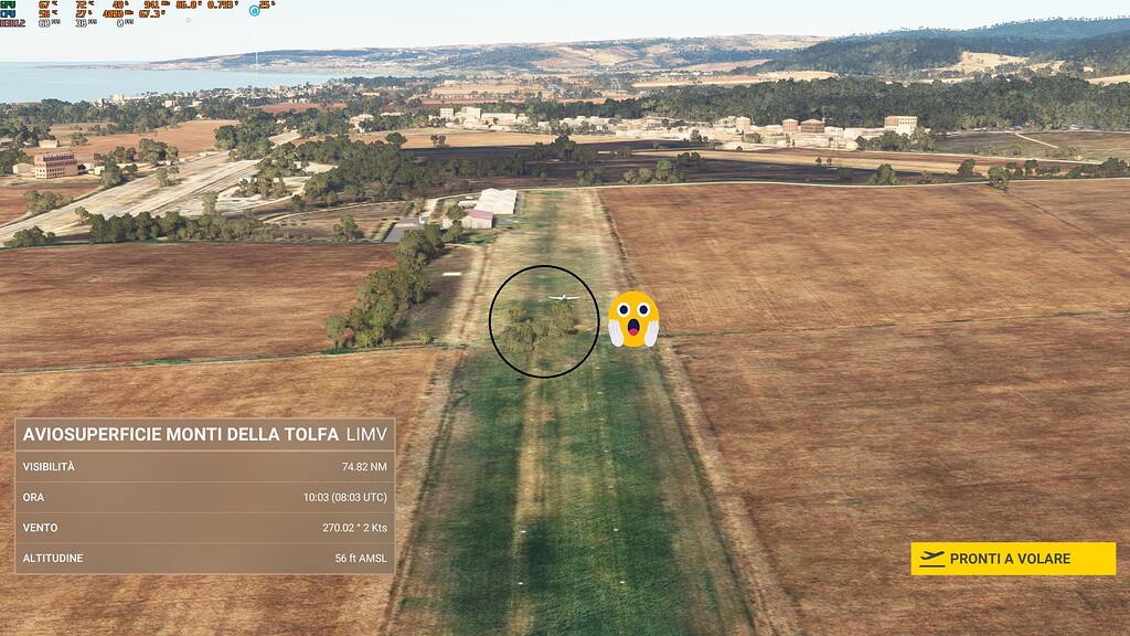 LIMV - tree in the middle of the runway - Scenery and Airports ...