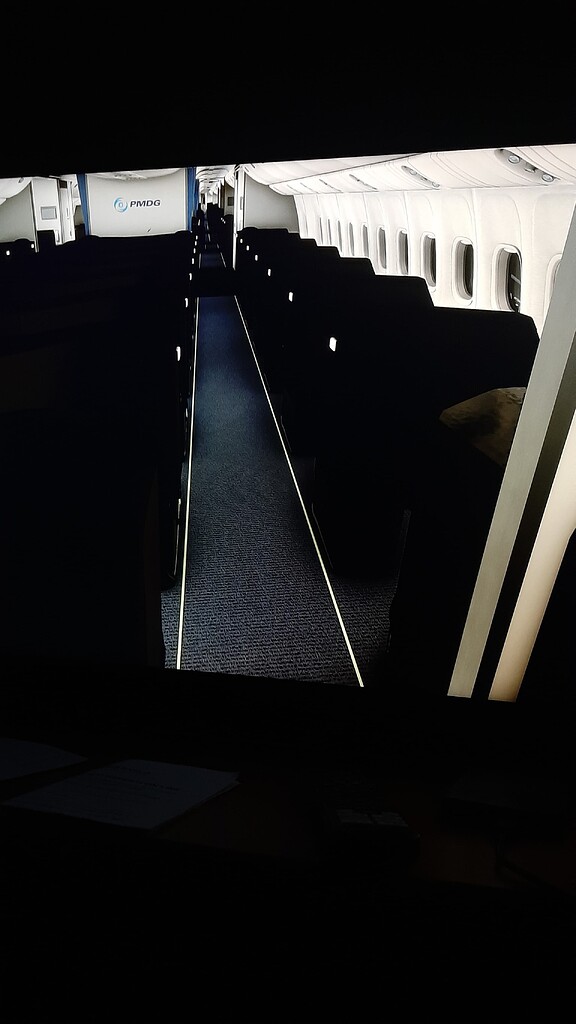 Cabin lighting and dark seats - Aircraft & Systems - Microsoft Flight ...