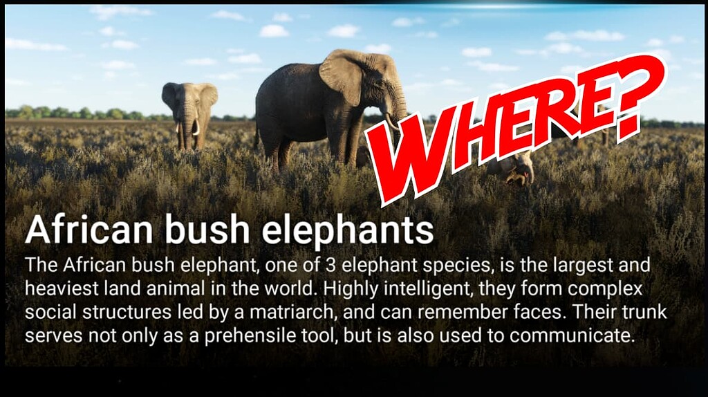 Where are the elephants? - User Interface & Activities - Microsoft ...