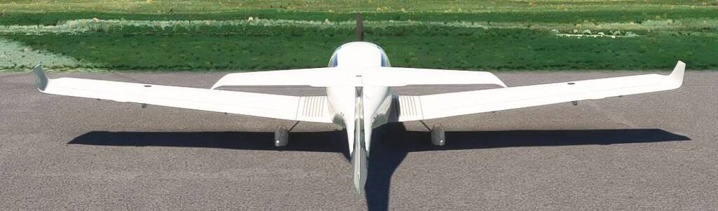 D40 NG Rudder Flutter - Aircraft & Systems - Microsoft Flight Simulator ...