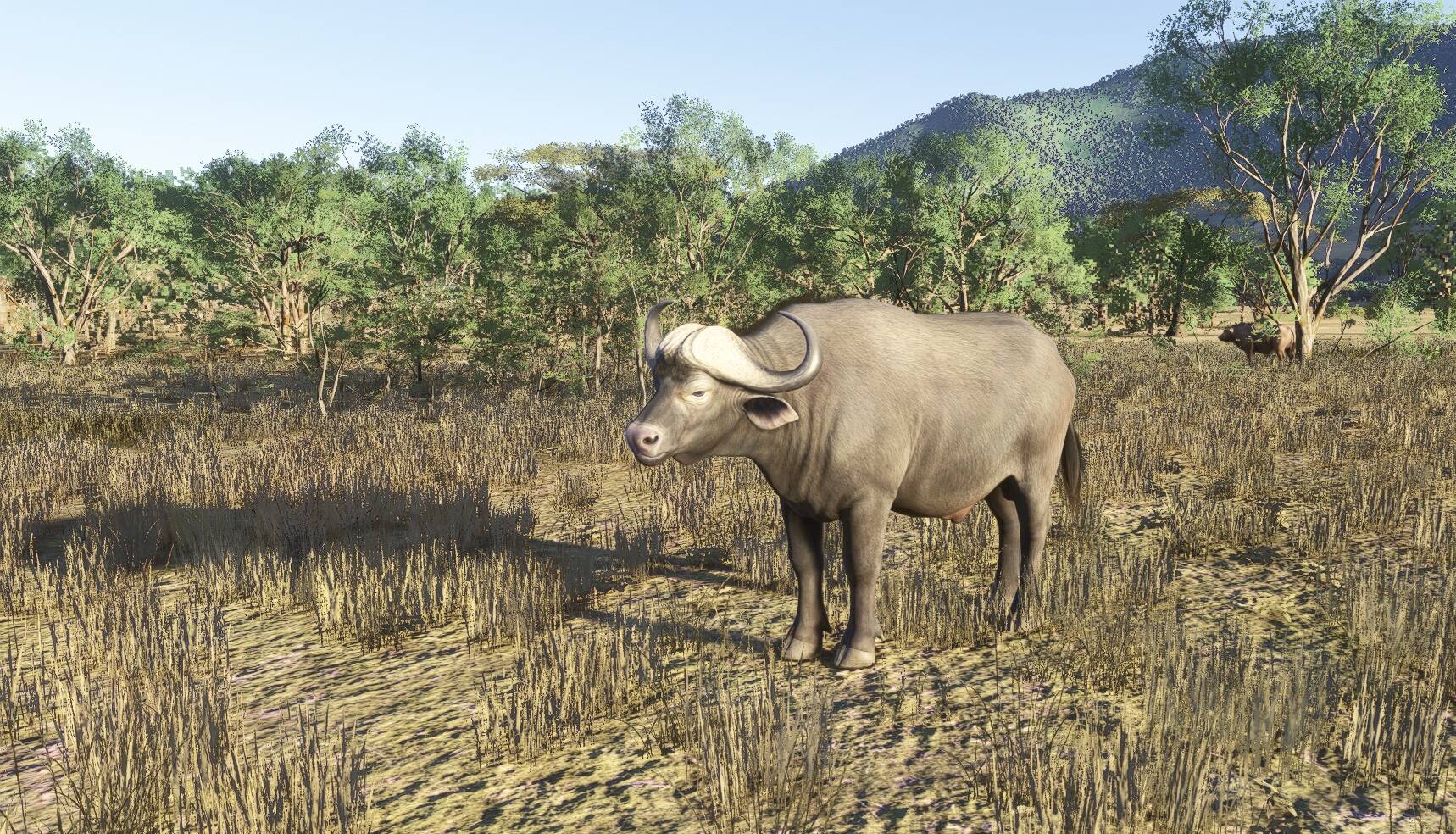 How to find animals and where are photos stored? - User Interface ...