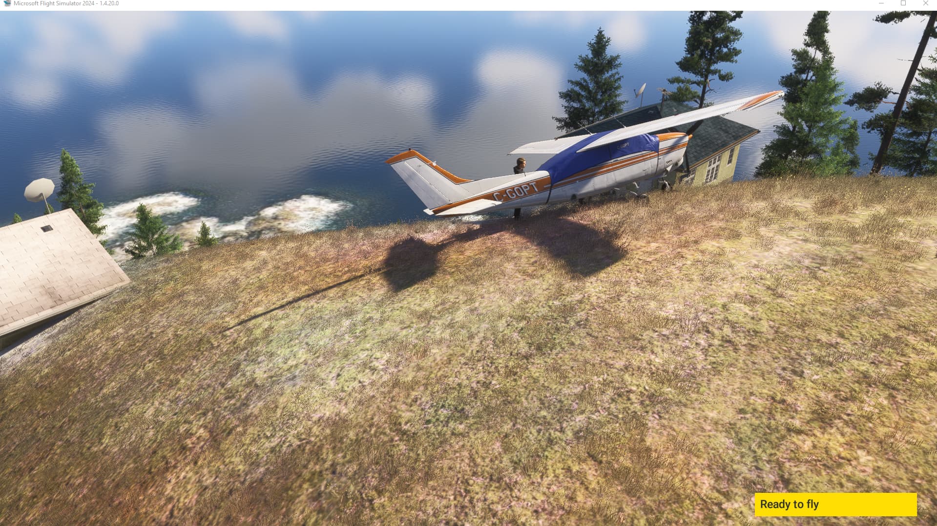 Ocean Waves visible in menu, but disappear when the flight loads ...