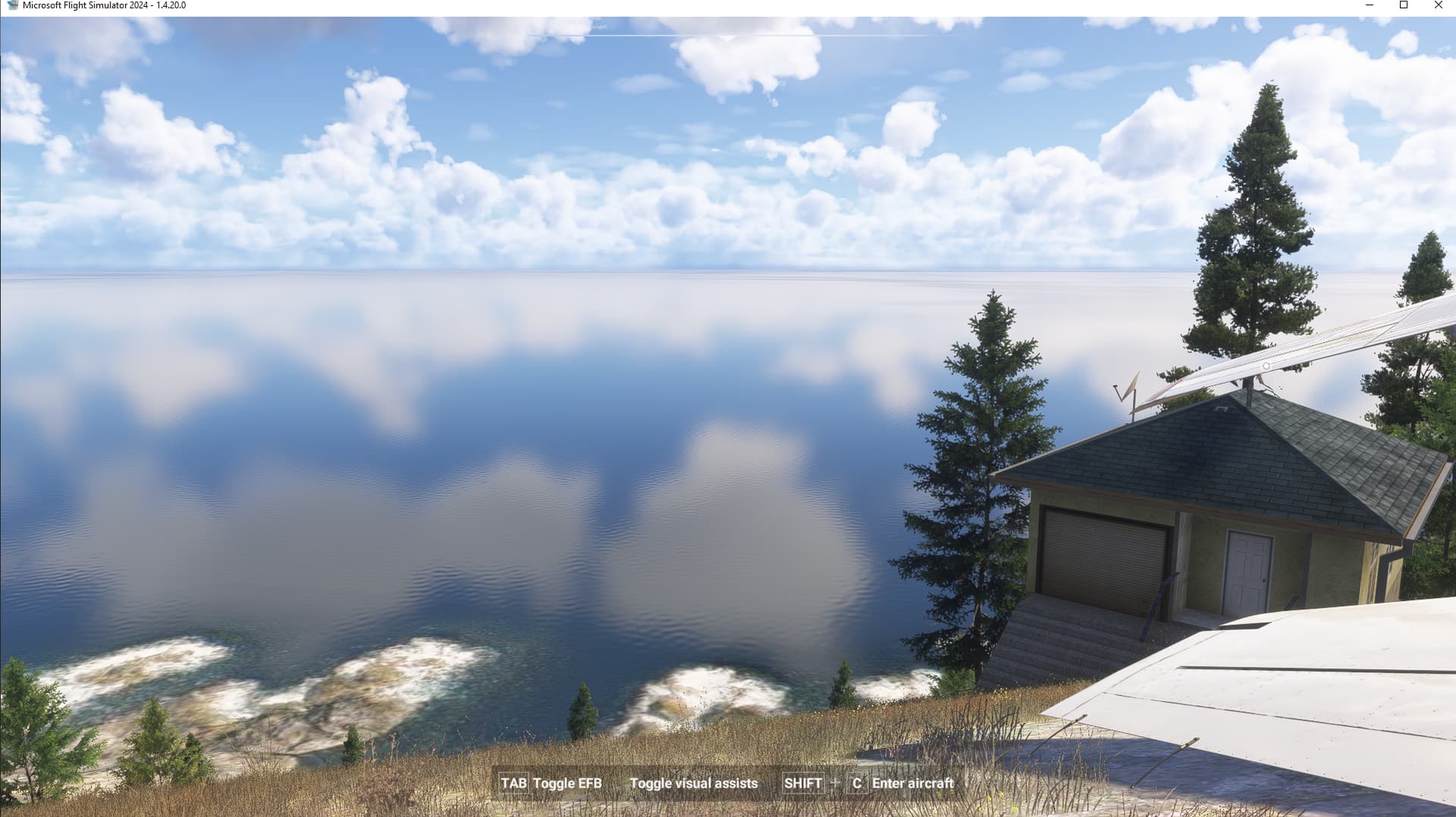 Ocean Waves visible in menu, but disappear when the flight loads ...