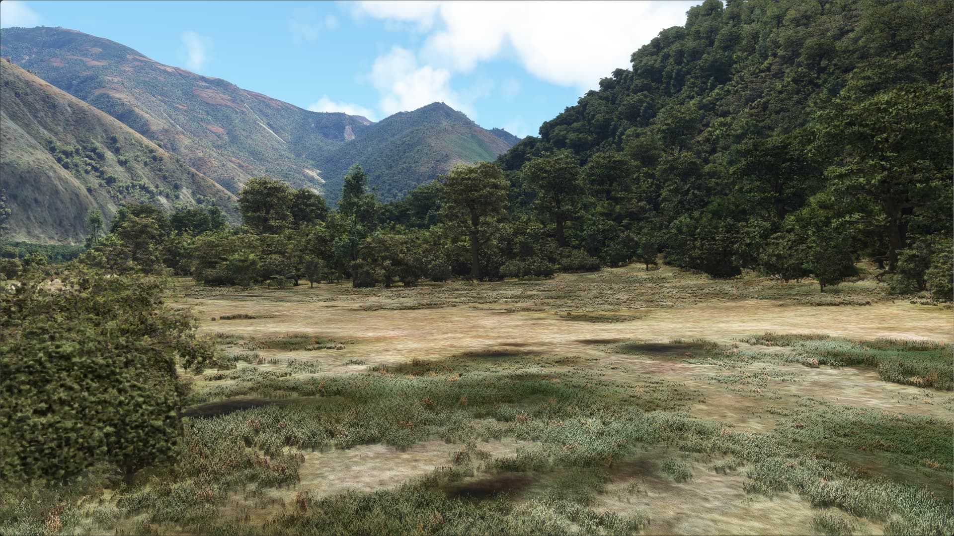 FS2020 Graphics Settings and Performance Guide (SU12 Update) (7/26/2023 ...