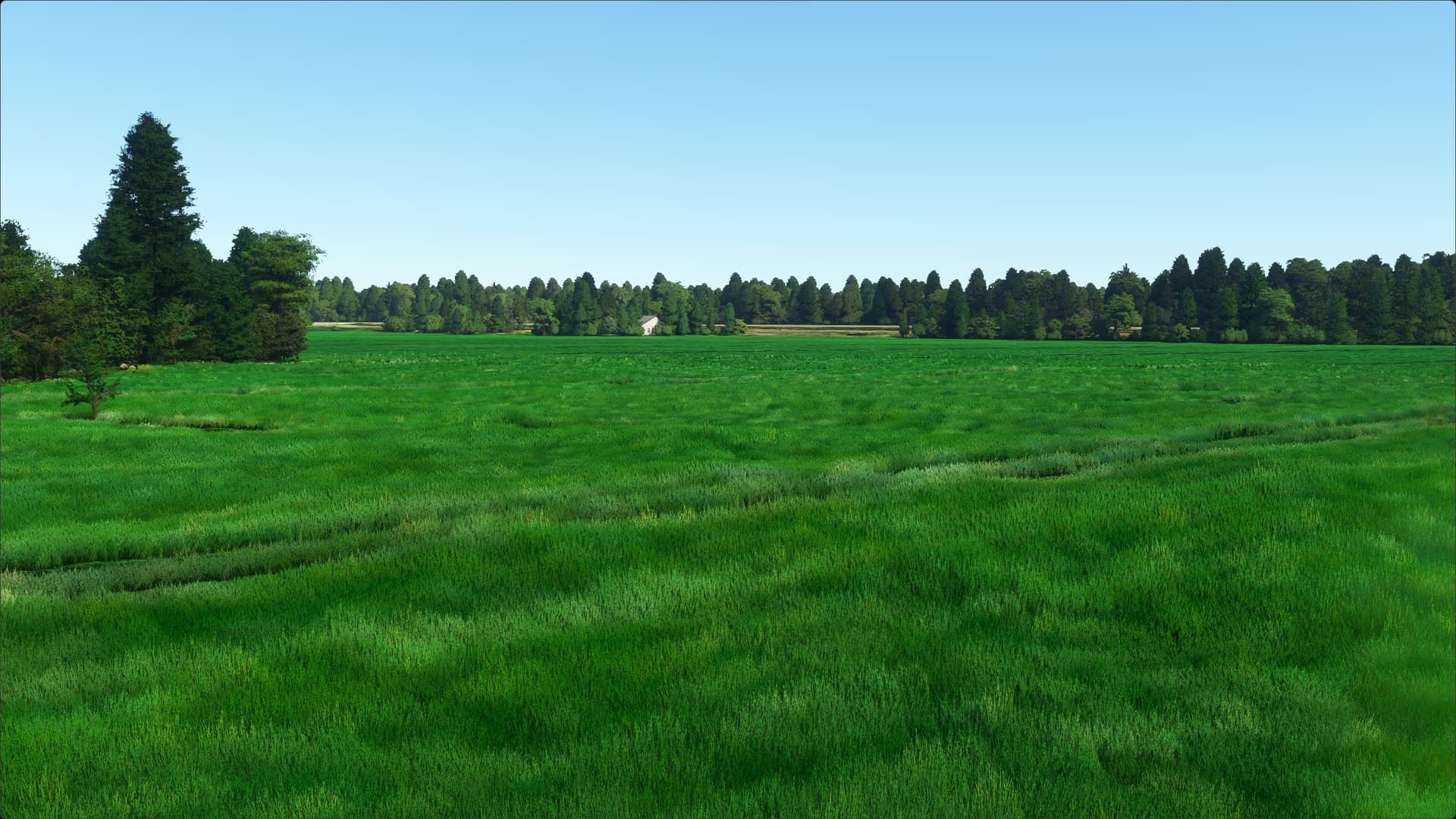 FS2020 Graphics Settings and Performance Guide (SU12 Update) (7/26/2023 ...