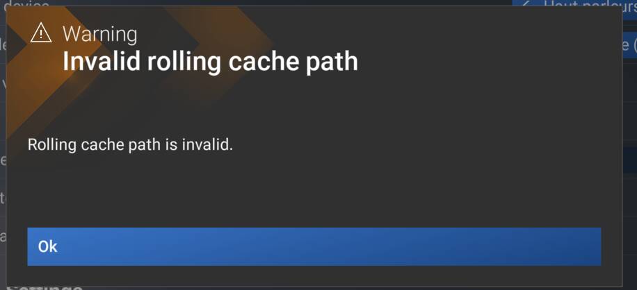 Rolling Cache path is Invalid - User Interface & Activities - Microsoft Flight Simulator Forums