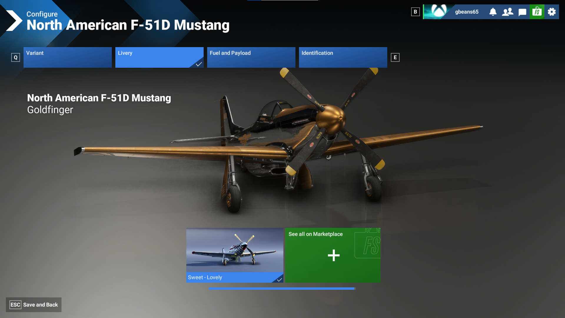 Thumbnails for NCAR P-51 Variants are Incorrect - User Interface ...
