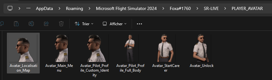 Missing avatar in Career main menu - User Interface & Activities - Microsoft Flight Simulator Forums