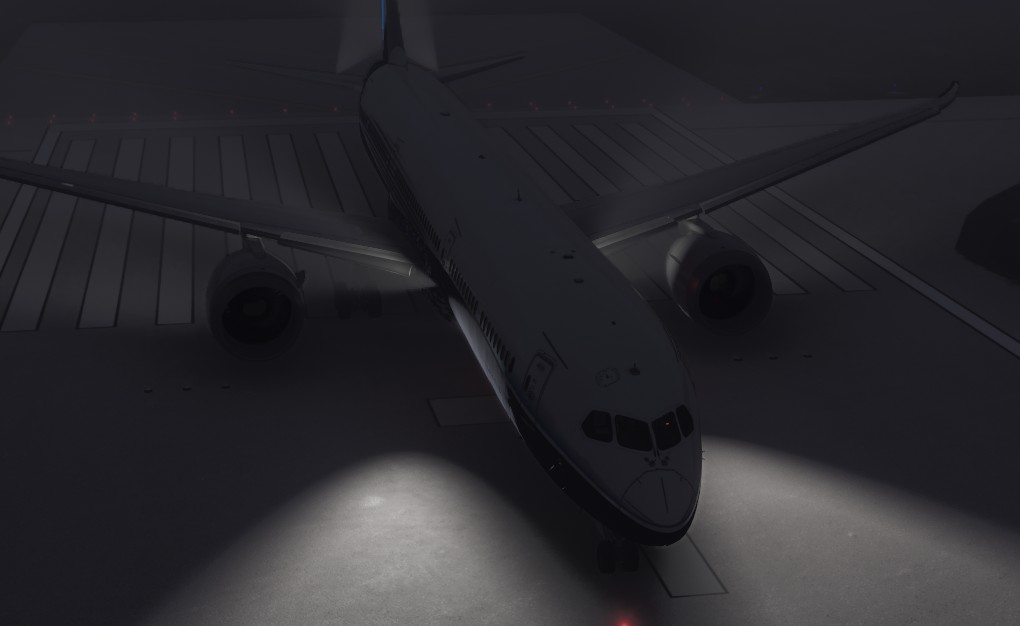 787 landing lights wrong direction? - #3 by Bishop398 - Aircraft ...