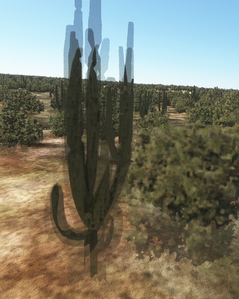 How are the trees, cacti, and other plants generated and displayed ...