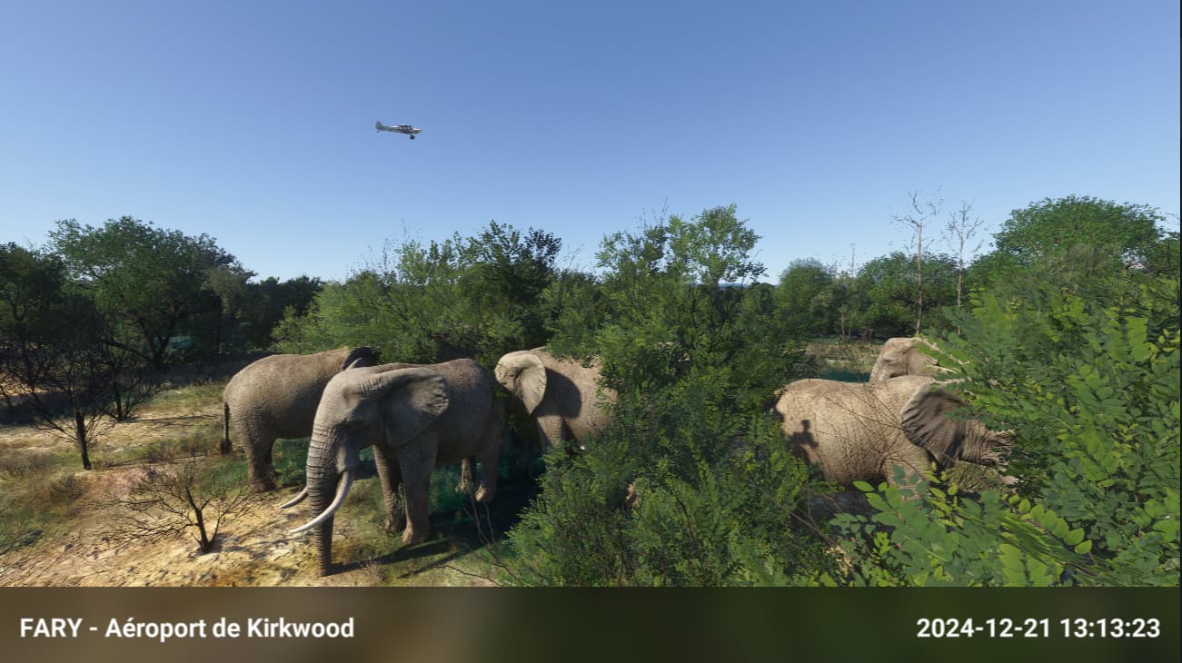 Where are the elephants? - User Interface & Activities - Microsoft ...